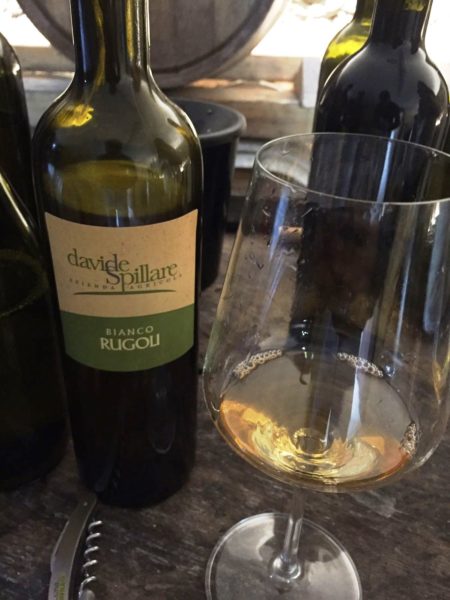 A casa di Davide Spillare: il discepolo di Maule è diventato grande