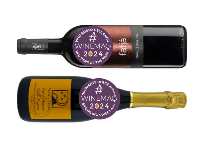 Al Mercato Fivi 2023 i Migliori Vini italiani della Top 100 winemag