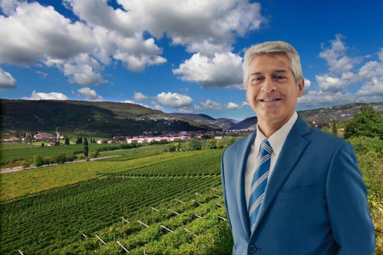 Cantine di Verona, fatturato 2024 a 62,5 milioni di euro