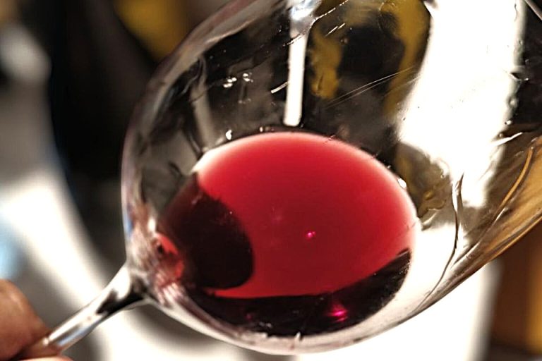 Prokupac, nuova identità per vitigno-vino simbolo Serbia e Balcani