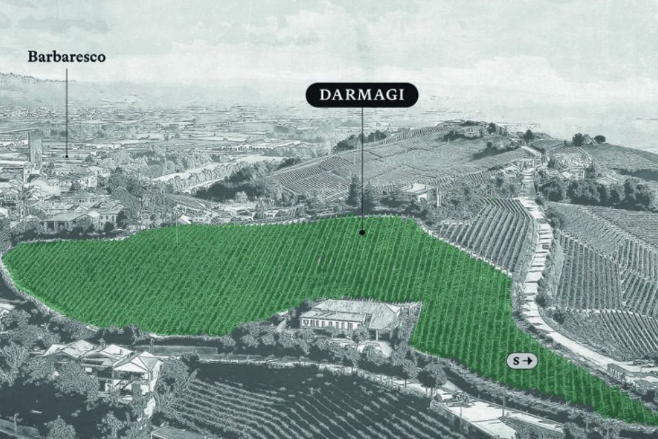 Darmagi, il Cabernet Sauvignon di Angelo Gaja a Barbaresco
