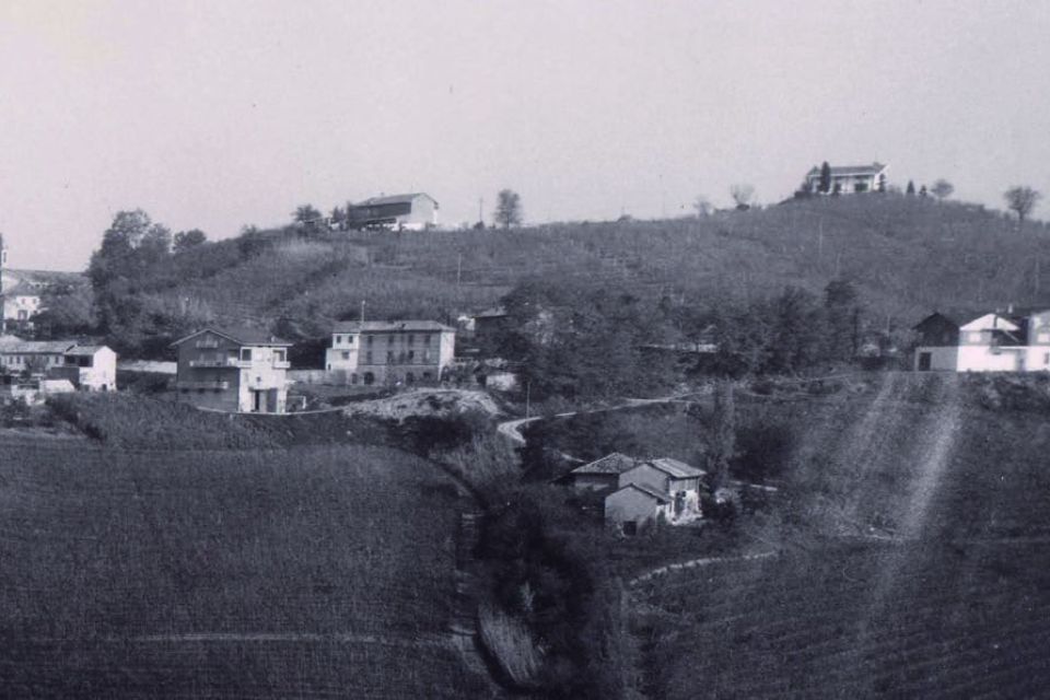 Darmagi, il Cabernet Sauvignon di Angelo Gaja a Barbaresco