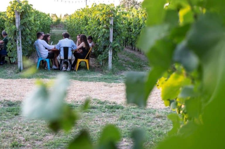 Serprino Festival 2026, fino al 6 luglio